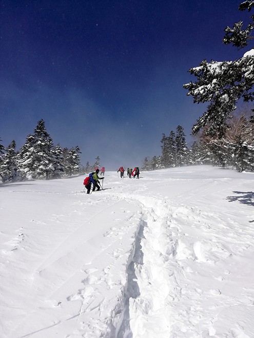 Avalanche Incident (CSAC) - Japan, March 14, 2021